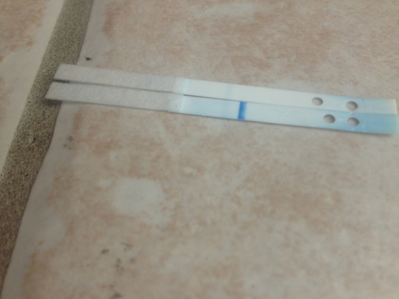 lecture bandelettes test clearblue digital