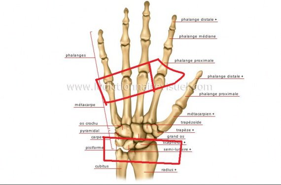 Douleur a la main inexpliquée