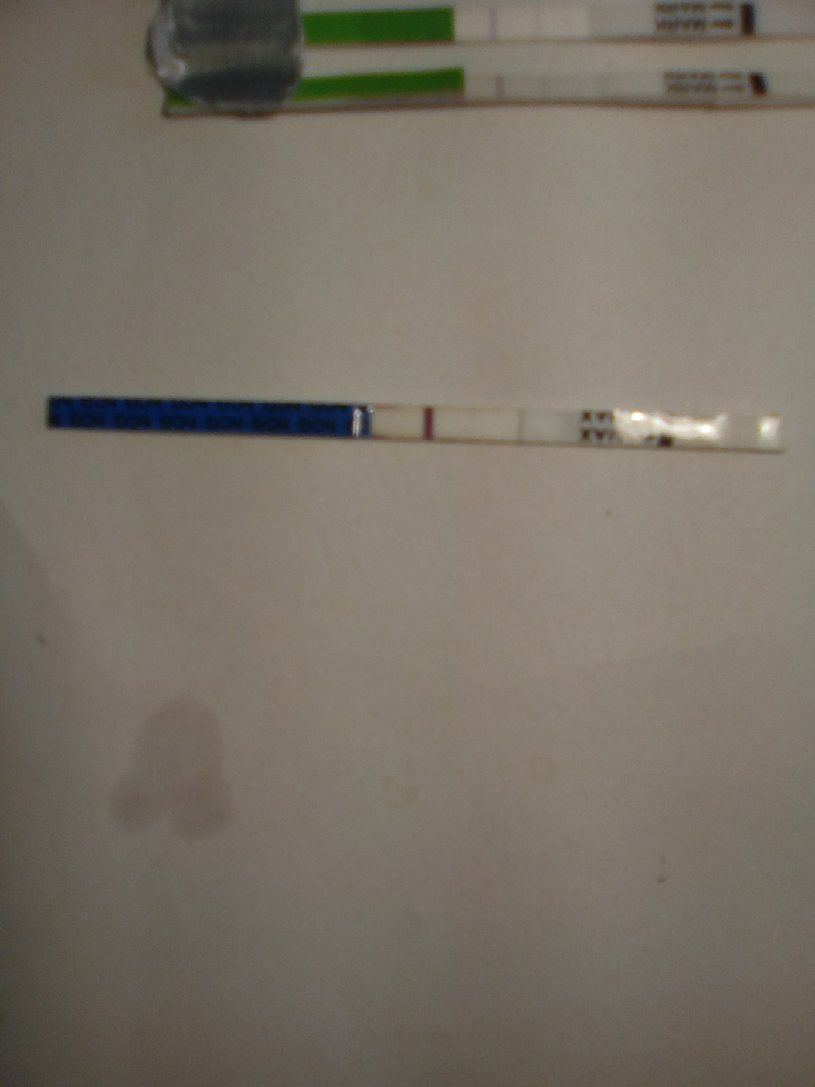 Test grossesse bandelette help !! - Tests et symptômes de grossesse ...