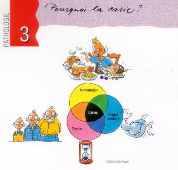 schéma de keyes - tout ce que vous aimeriez savoir sur vos dents ...