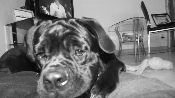 Gros plans, sales tronches