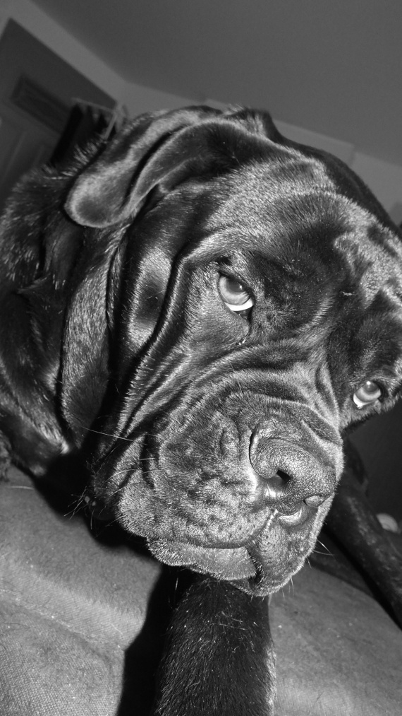 Gros plans, sales tronches