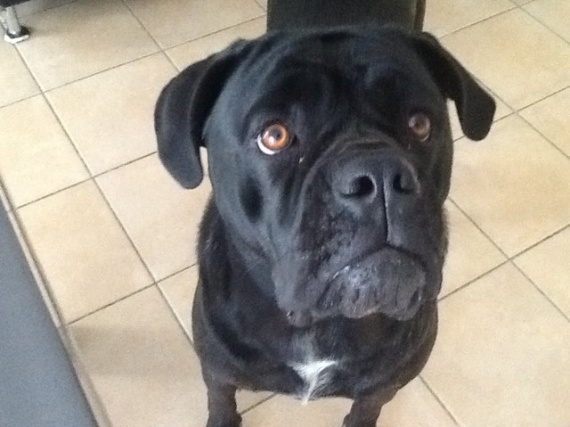 Gros plans, sales tronches